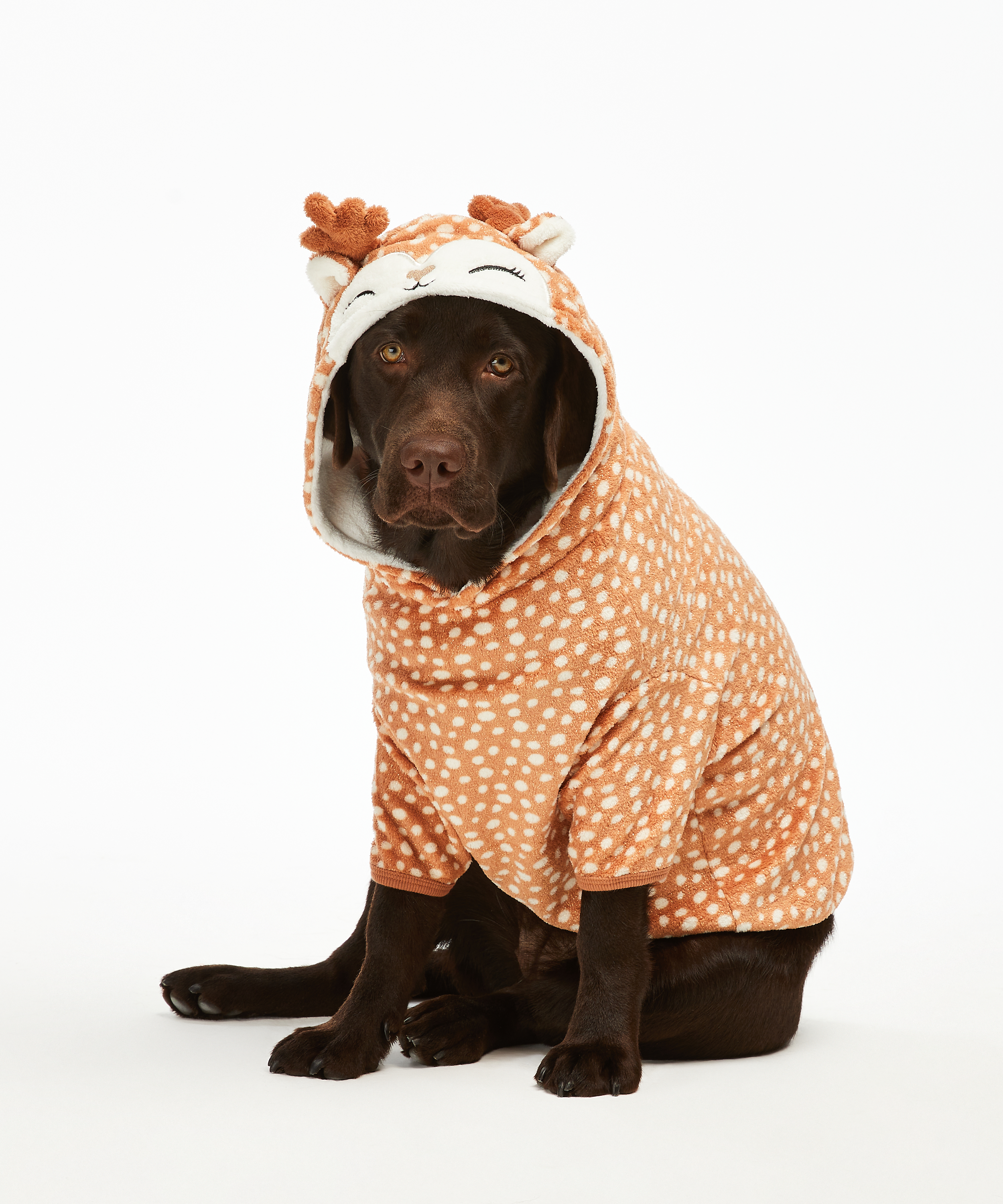 Dog's Fleece Onesie for €17.99 - Onesies - Hunkemöller